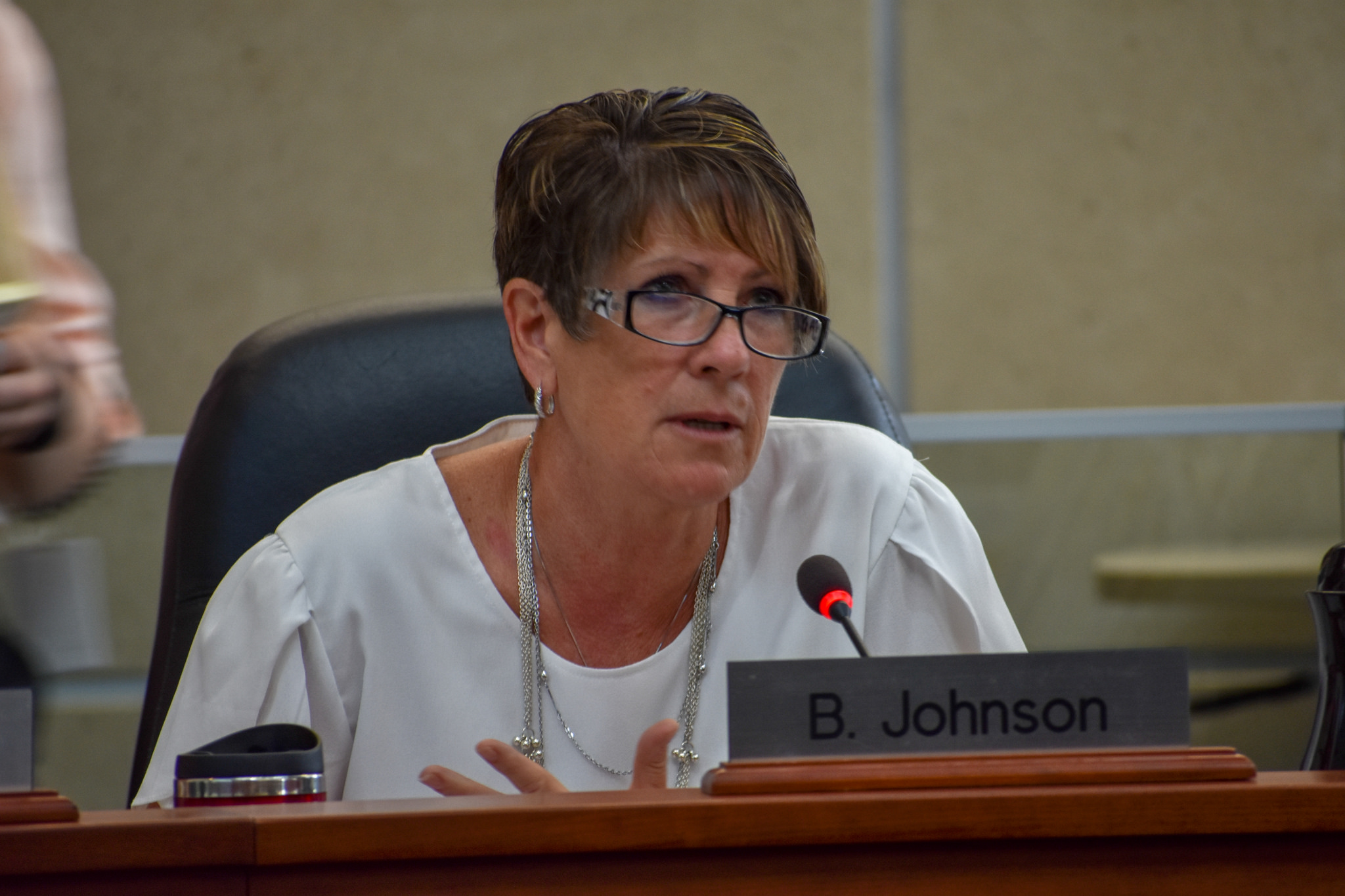 COLEMAN: On Brenda Johnson’s Announcement to Not Seek Re-election – TPR ...