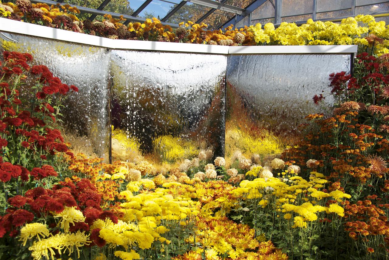 The Show Goes On (Safely): Free Admission for Hamilton's 2020 Mum Show ...