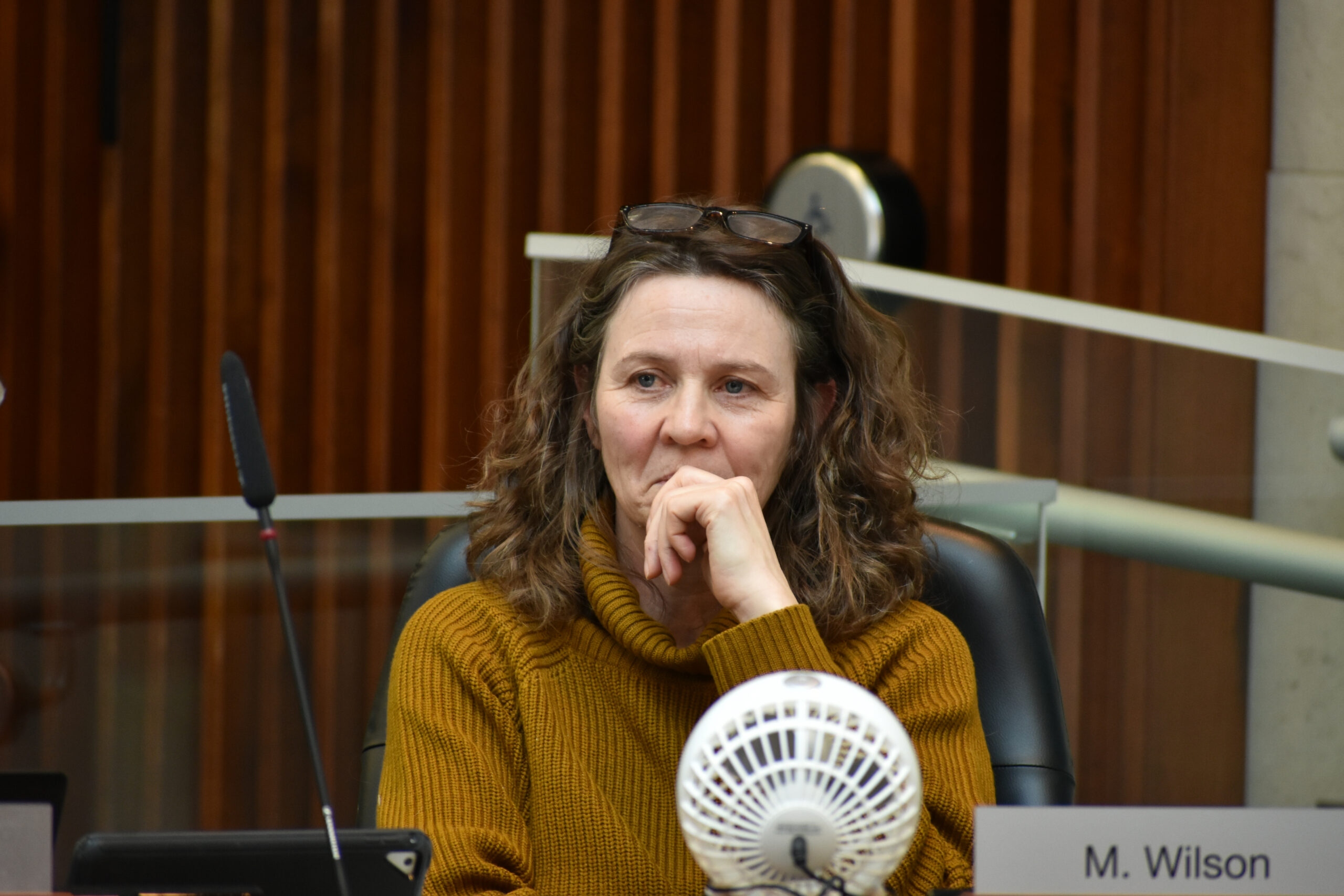 Maureen Wilson, in her own words: Why Yes on 1570 Main West – TPR ...