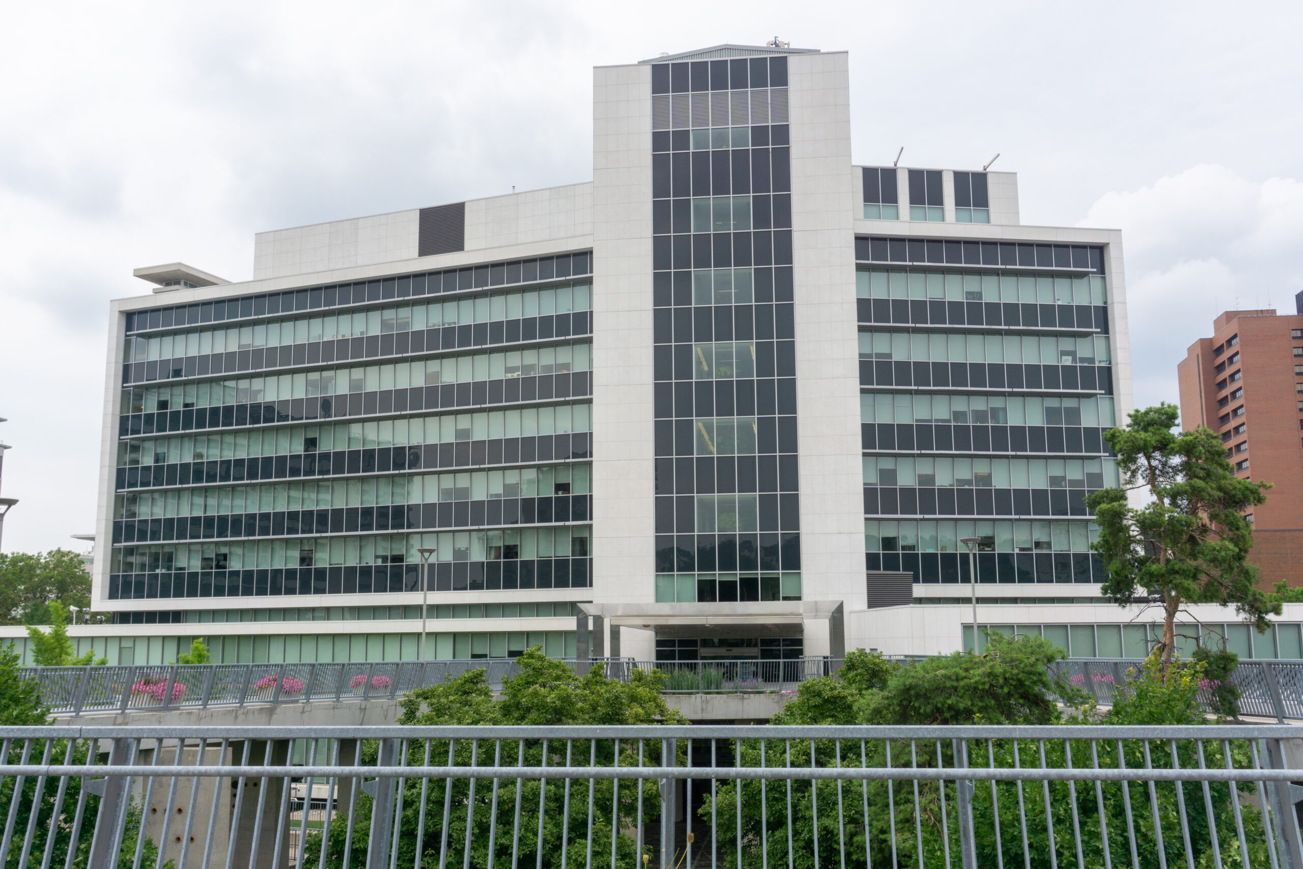 Council Names New CityHousing Hamilton Board for 2022-2026 Term – TPR ...