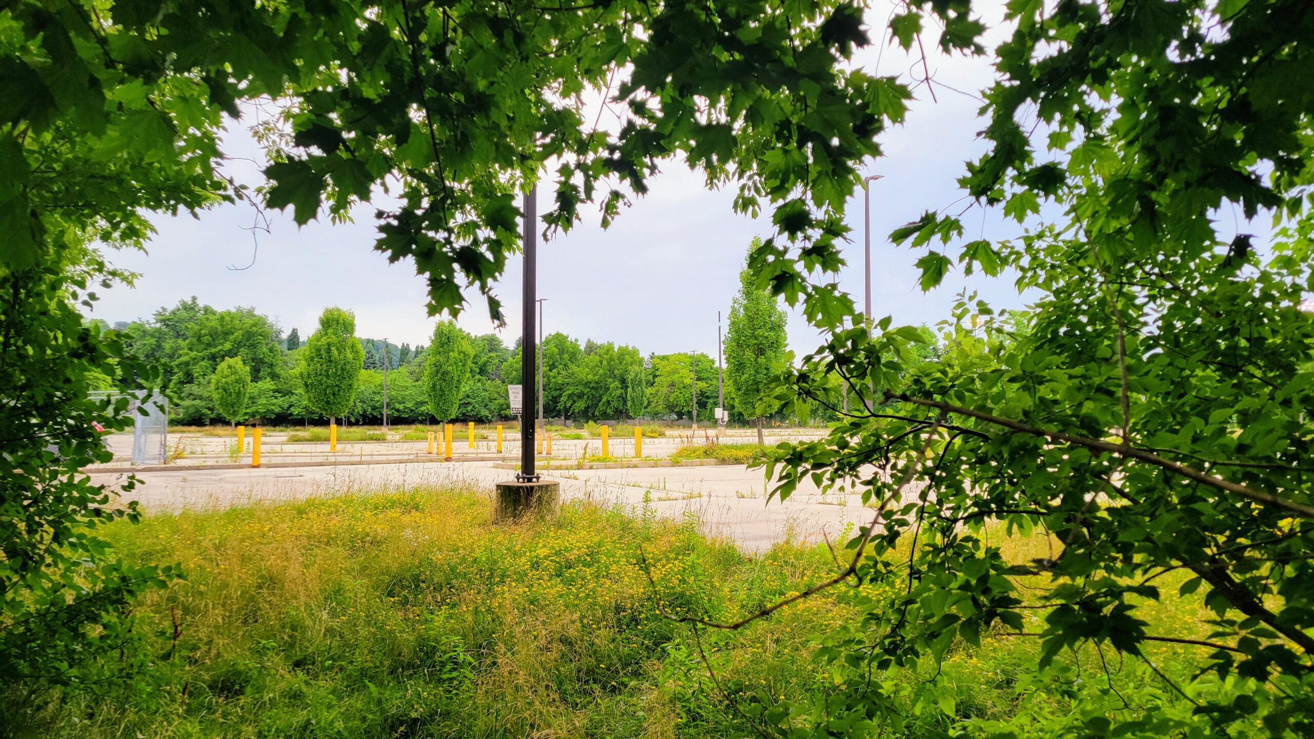 38, 34, and 26-Storey Towers Proposed for Ainslie Wood Parking Lot ...