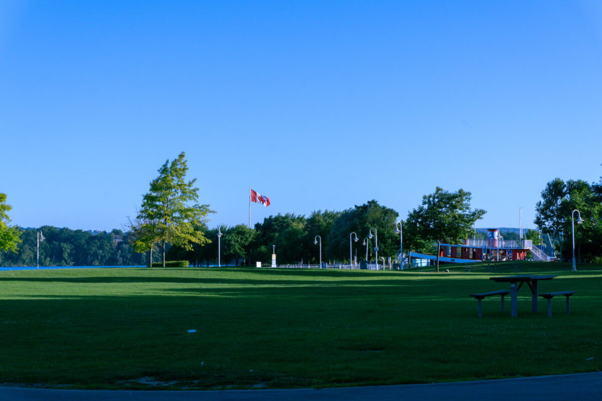 Hamilton Council Debates Open Space versus Trees in Hamilton’s Parks ...